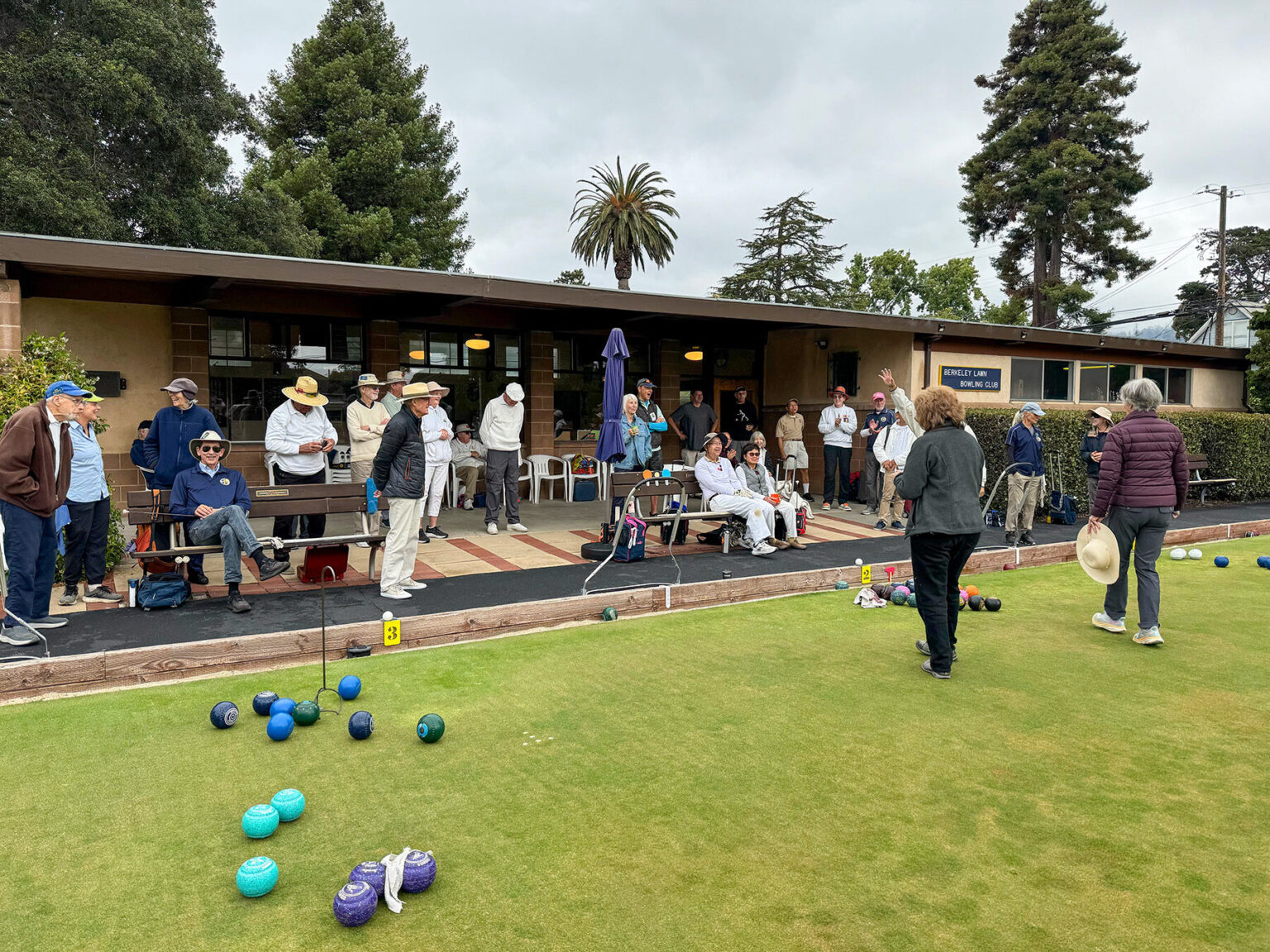 Meat Axe 2025 | Berkeley Lawn Bowling Club